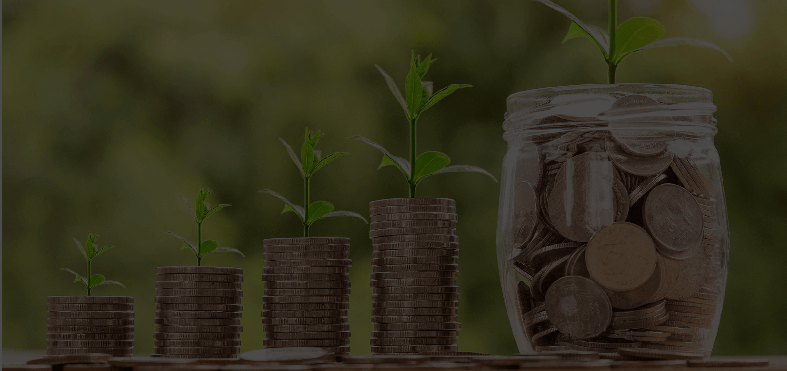 Our Values - Budget Waste Services